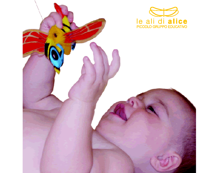 UN NUOVO SERVIZIO EDUCATIVO: LE ALI DI ALICE | Società Dolce Corporate